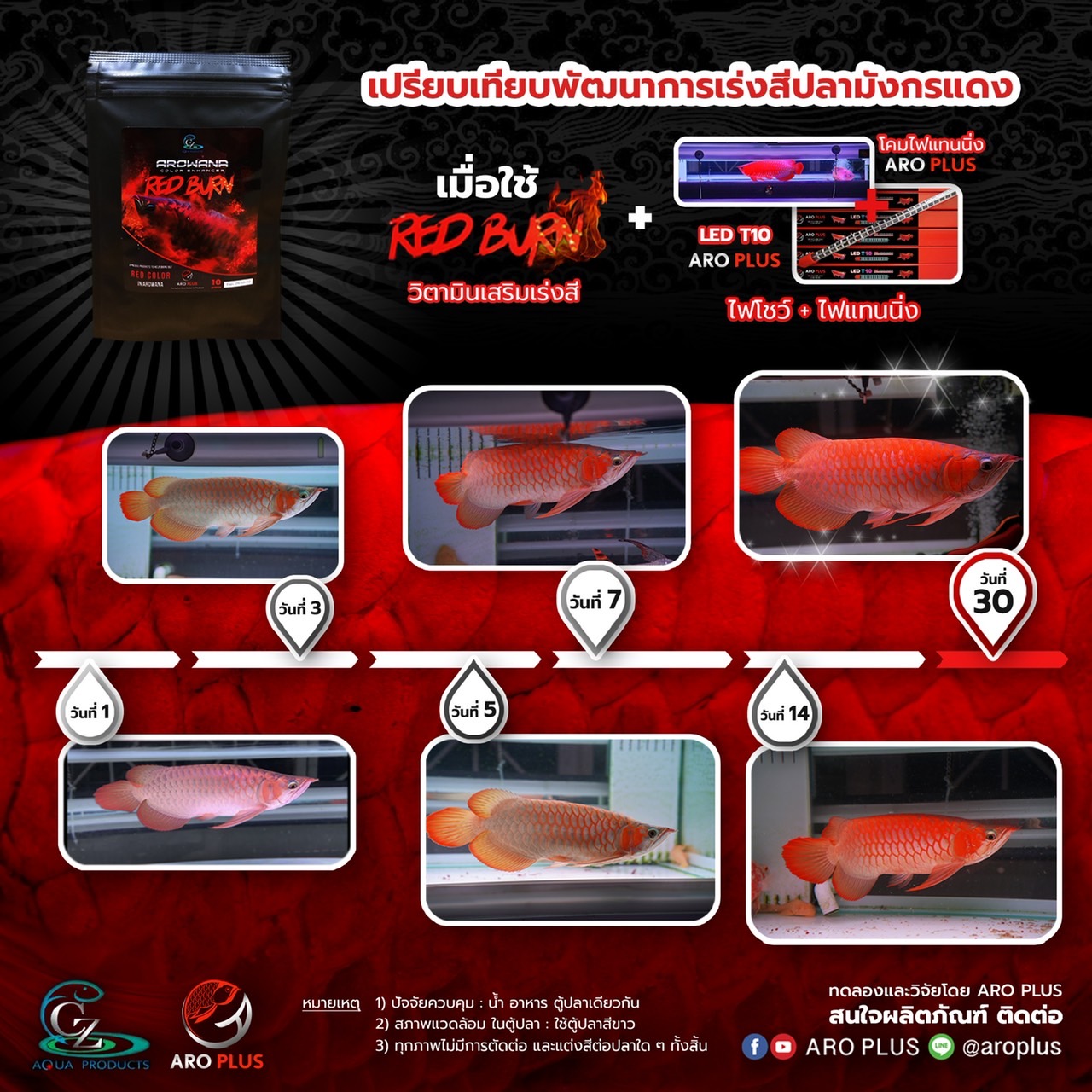 วิตามินเสริมเร่งสีแดง แบบผง Red Burn – ARO PLUS