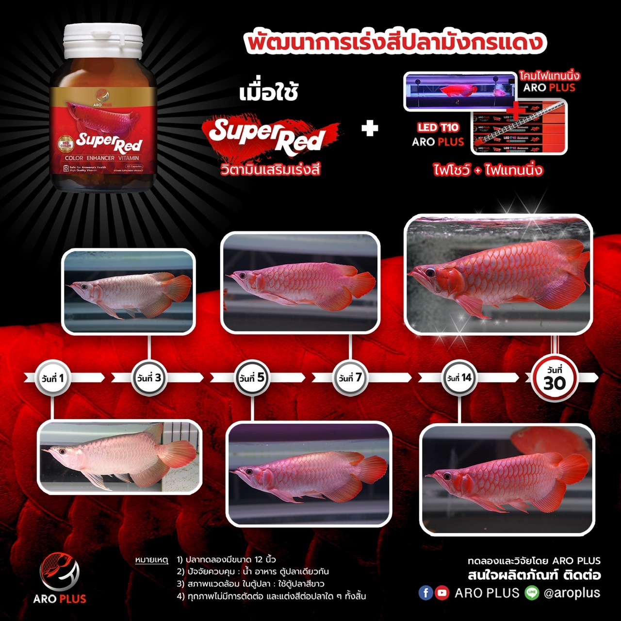 วิตามินเสริมเร่งสีแดง แบบแคปซูล Super Red – ARO PLUS