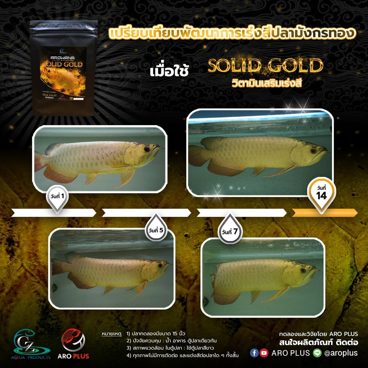 วิตามินเสริมเร่งสีทอง แบบผง รุ่น Solid Gold – ARO PLUS