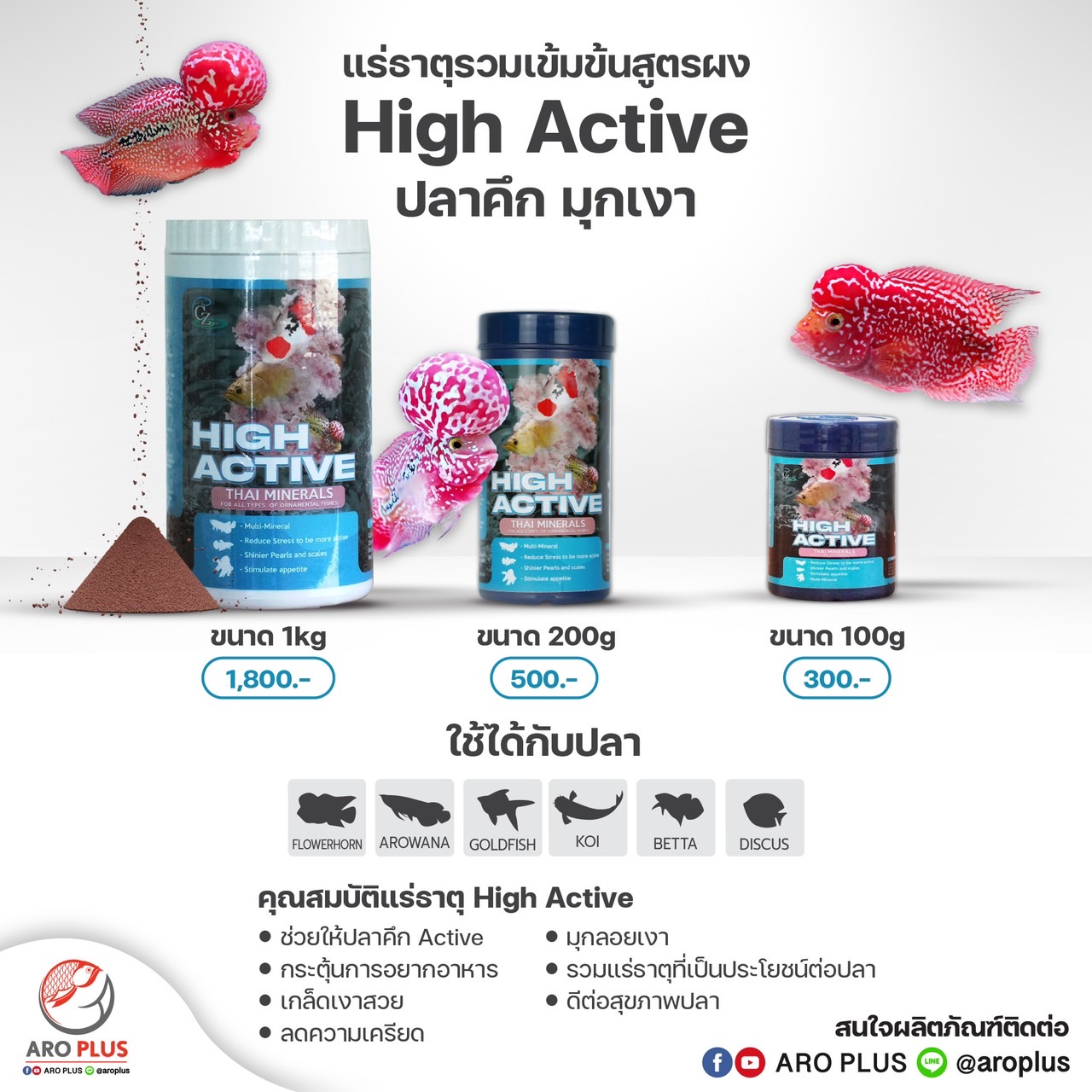 แร่ธาตุรวมสูตรผง High Active – ARO PLUS