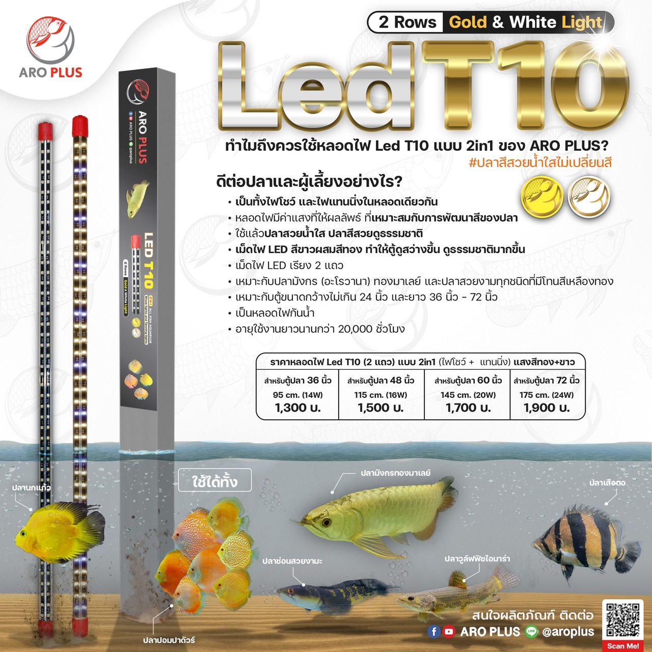 หลอดไฟ LED T10 2in1 แบบ 2 แถว สีขาวทอง – ARO PLUS